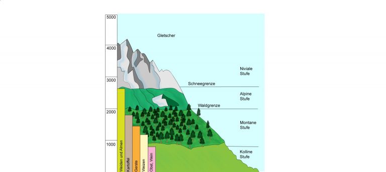 Höhenstufen und Waldgesellschaft – Forestbook